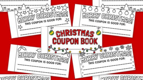 100 + DIY Christmas Gifts for Everyone on Your List - Craft Rocker