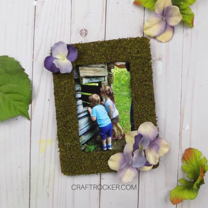 DIY Moss Frame with Flowers - Craft Rocker
