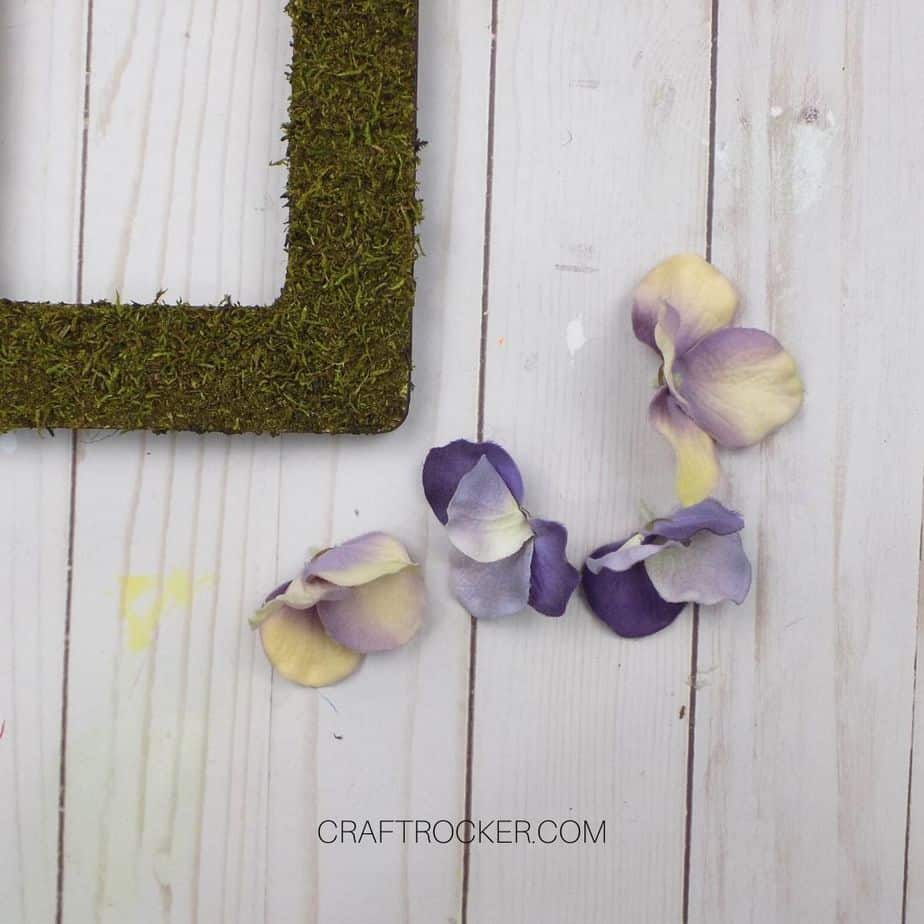 DIY Moss Frame with Flowers - Craft Rocker