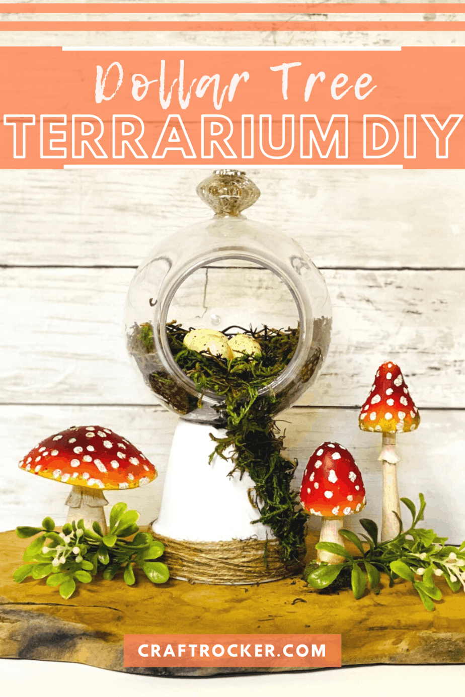 Dollar Tree Terrarium DIY Tutorial - Craft Rocker